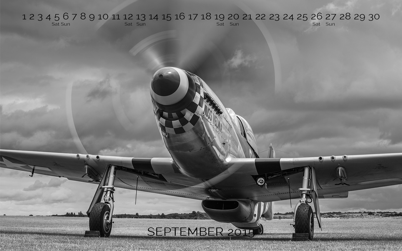 SEPS - The Fighter Collection