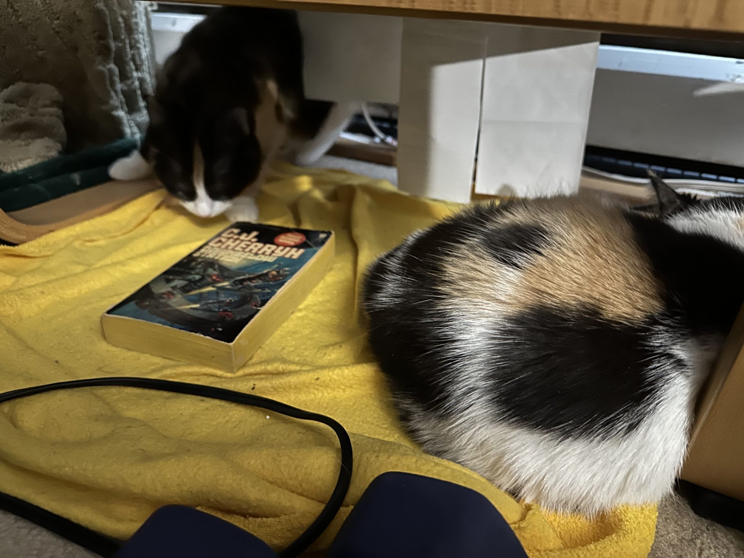 Cats Sleep on SFF: Downbelow Station | File 770