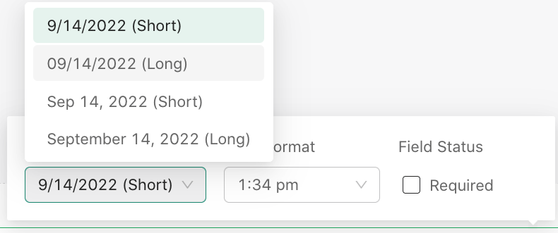 studio_form-date-field-options – FileMakerHacks