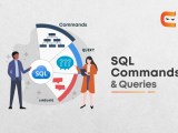 Basic Sql Commands And Queries Naukri Code 360