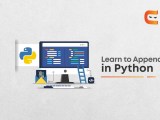 Append In Python Naukri Code 360