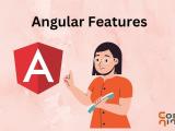 Angular Features Naukri Code 360