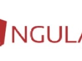 Angular Features Naukri Code 360