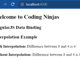 Angularjs Data Binding Naukri Code 360
