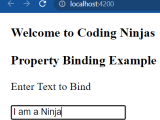 Angularjs Data Binding Naukri Code 360