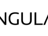 Angularjs Form Validation Naukri Code 360