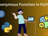 Anonymous Function In Python Naukri Code 360