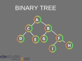 Binary Tree Linked List Naukri Code 360