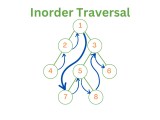 Binary Tree In Javascript Naukri Code 360