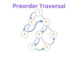 Binary Tree In Javascript Naukri Code 360