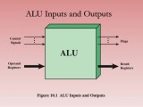 Central Processing Unit Cpu Naukri Code 360
