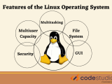 Features Of Linux Operating System Naukri Code 360