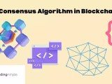 Consensus Algorithm In Blockchain Naukri Code 360