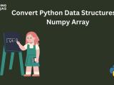 Convert Python Data Structures To Numpy Array Naukri Code 360