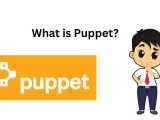 Developing Modules In Puppet Naukri Code 360