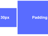Difference Between Margin And Padding Naukri Code 360