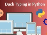 Duck Typing In Python Naukri Code 360