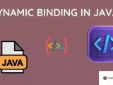 Java Dynamic Binding Explained With Examples Naukri Code 360