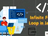 Infinite For Loop In Java Naukri Code 360
