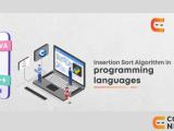 Insertion Sort Algorithm Naukri Code 360