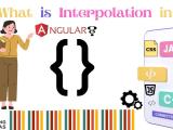 What Is Interpolation In Angularjs Naukri Code 360