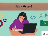 Java Assert Naukri Code 360