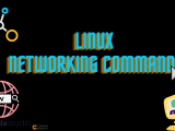 Linux Networking Naukri Code 360
