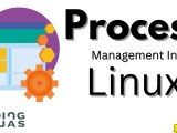 Linux Process Naukri Code 360