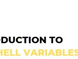 Shell Variables Naukri Code 360