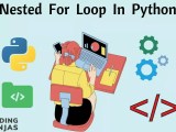 Nested For Loop In Python With Examples A Beginner S Guide Naukri