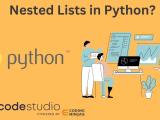 Nested List In Python Naukri Code 360
