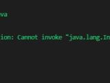 Null Pointer Exception In Java Naukri Code 360
