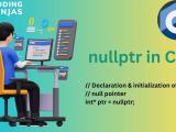 Nullptr In C Naukri Code 360