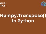 Numpy Transpose In Python Naukri Code 360