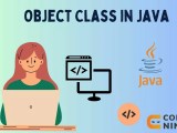 Object Class In Java Naukri Code 360