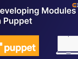 Developing Modules In Puppet Naukri Code 360