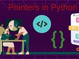 Pointers In Python Naukri Code 360
