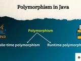Java Polymorphism Naukri Code 360