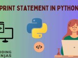 Print Statement In Python Naukri Code 360