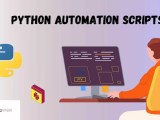 Python Automation Scripts Naukri Code 360