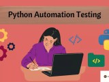Python Automation Testing Naukri Code 360