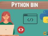Python Bin Naukri Code 360