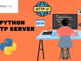 Python Http Server Naukri Code 360