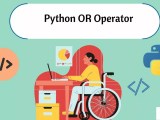 Python Or Operator Naukri Code 360