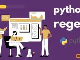 Python Regex Naukri Code 360