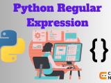 Python Regular Expression Regex Naukri Code 360