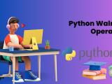 Python Walrus Operator Naukri Code 360