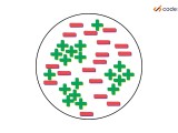 Rule Based Classification In Data Mining Naukri Code 360
