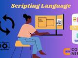 Scripting Language Naukri Code 360
