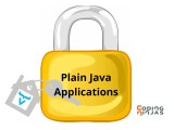Securing Plain Java Applications Naukri Code 360